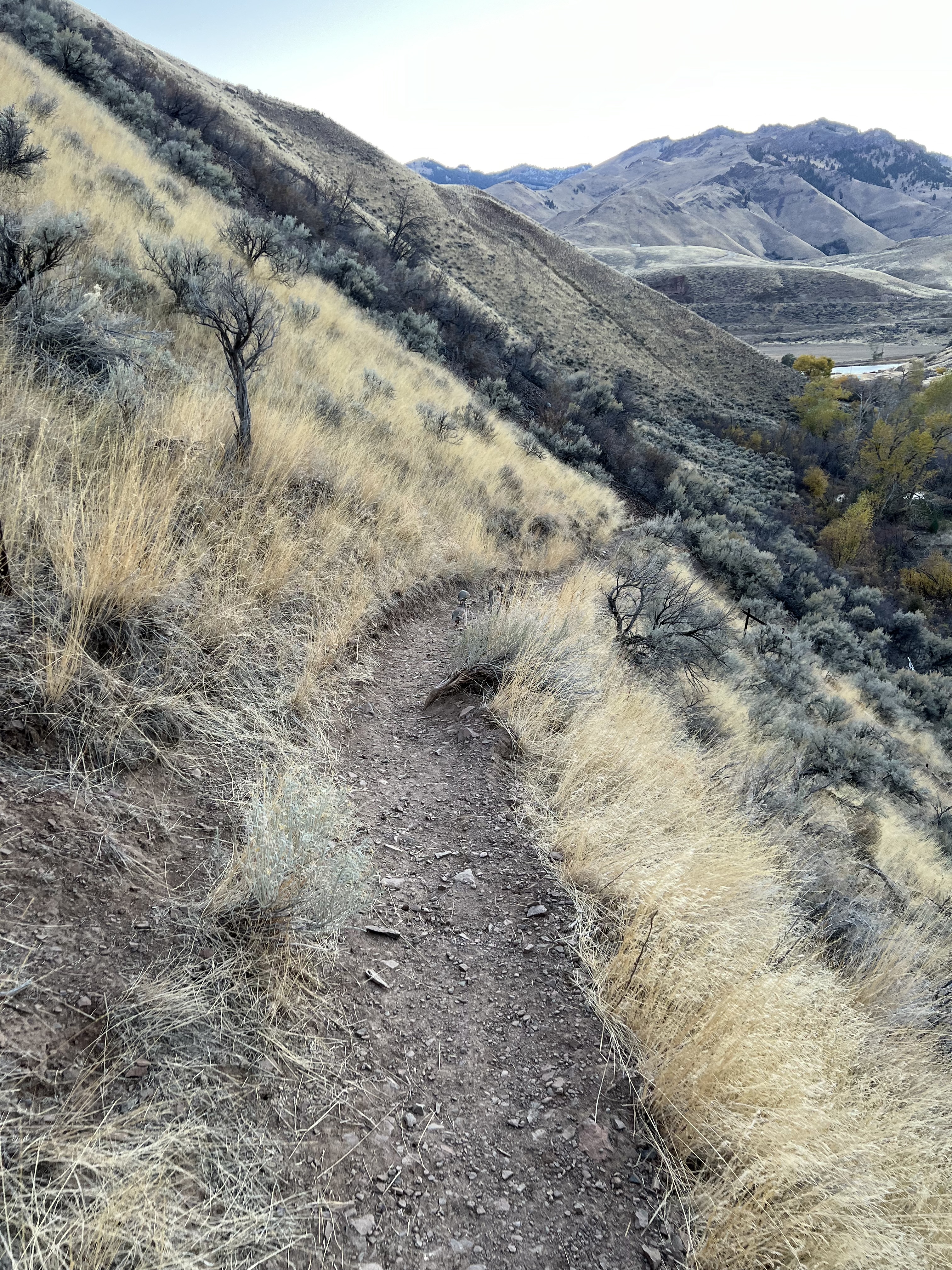 Kyle Skov Owatonna: Annual Pilgrimage to Goldbug Hot Springs – Kyle ...
